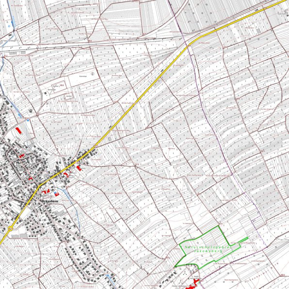 Ockenheim (1:5,000) Map by Landesamt fur Vermessung und ...