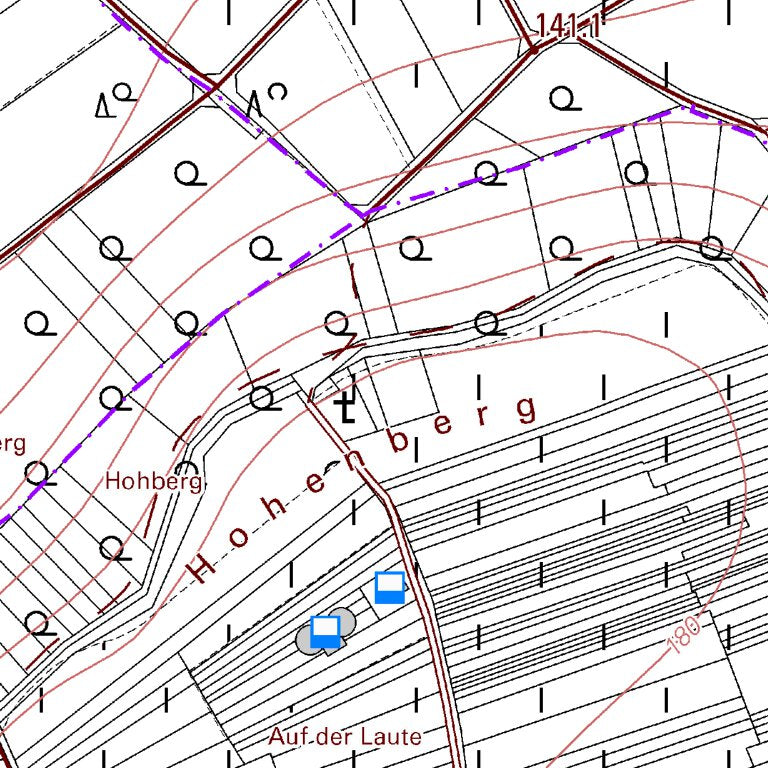Gau-Bischofsheim (1:5,000) Map by Landesamt fur Vermessung und ...