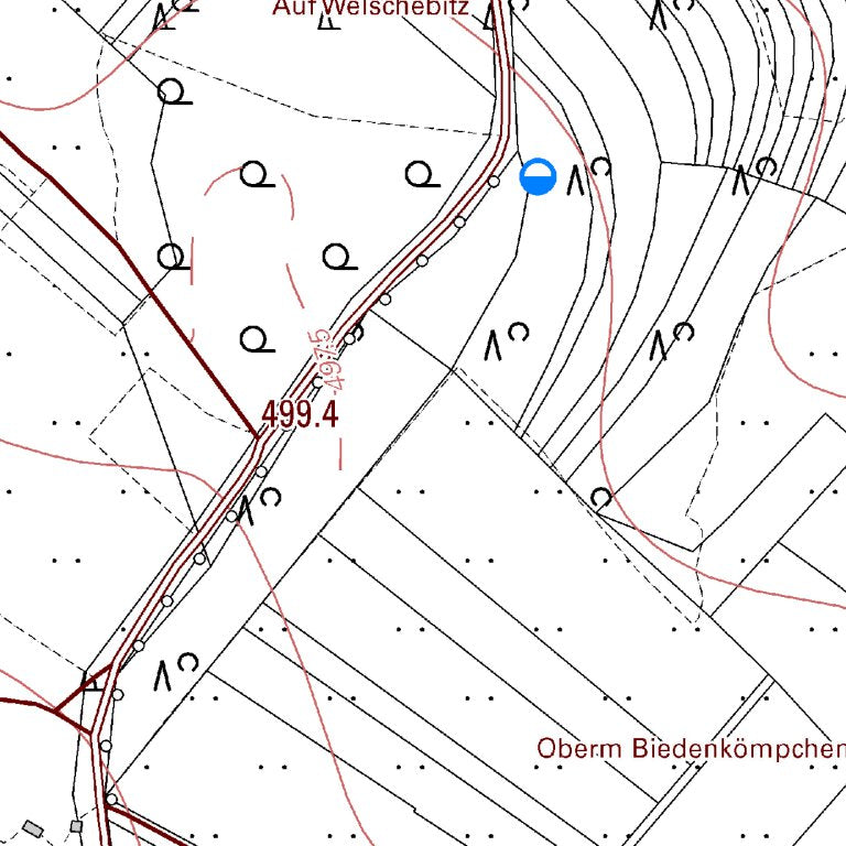 Baumholder 9 (1:5,000) Map by Landesamt fur Vermessung und ...