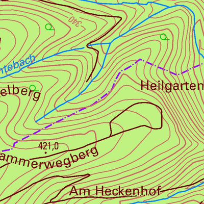 Bacharach (1:25,000) Map by Landesamt fur Vermessung und ...