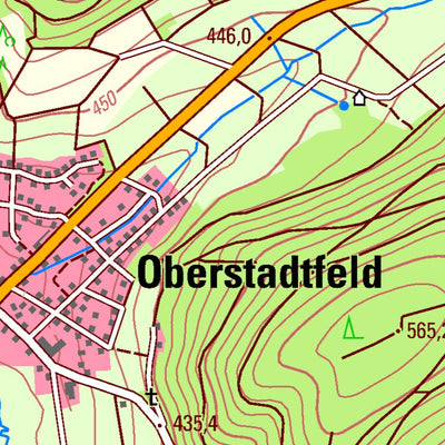 Daun (1:25,000) Map by Landesamt fur Vermessung und ...