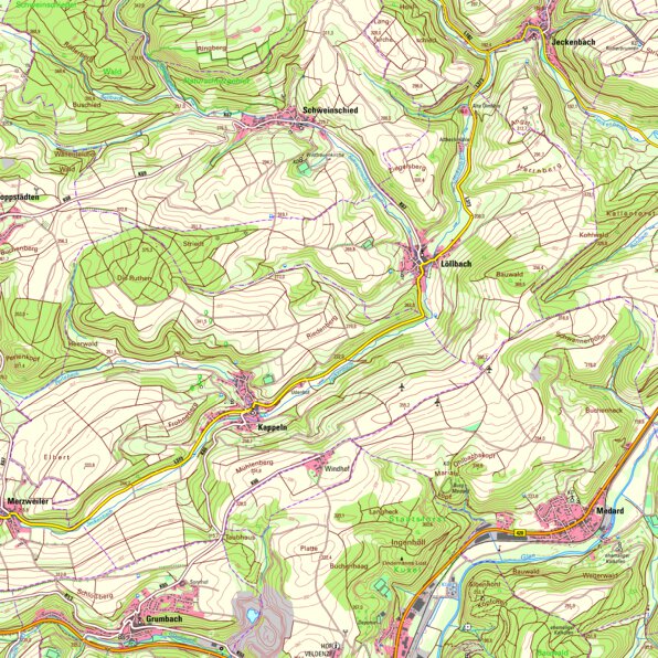 Kappeln (1:25,000) Map by Landesamt fur Vermessung und ...
