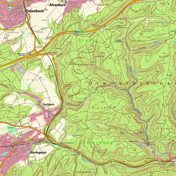 Fischbach (1:25,000) Map by Landesamt fur Vermessung und ...