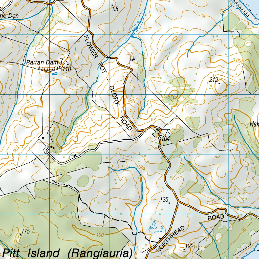 CI06 - Pitt Island (Rangiauria) Map by Land Information New Zealand ...