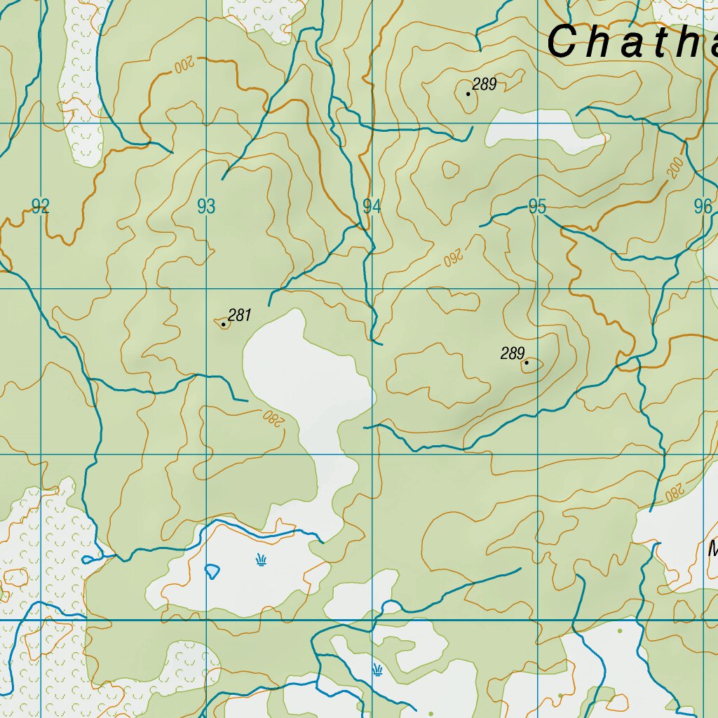 CI04 - Waitangi Map by Land Information New Zealand | Avenza Maps