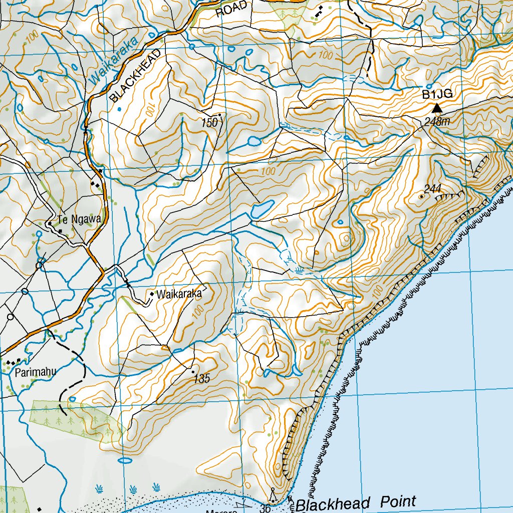 BM39ptBM38 - Blackhead Map by Land Information New Zealand | Avenza Maps