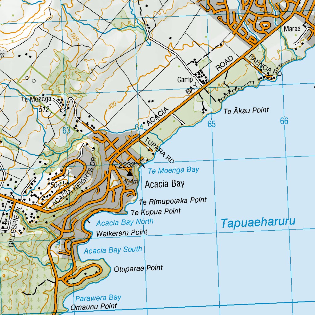 BG36 - Taupo Map by Land Information New Zealand | Avenza Maps