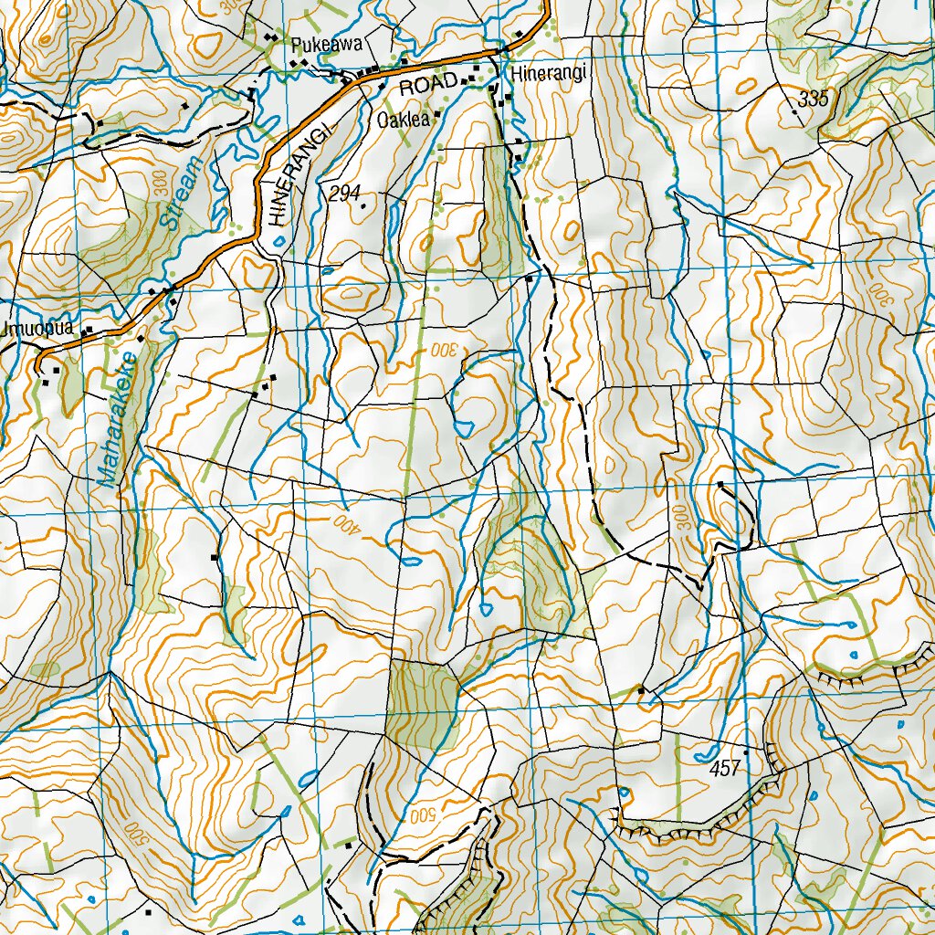 BL37 - Ongaonga Map by Land Information New Zealand | Avenza Maps