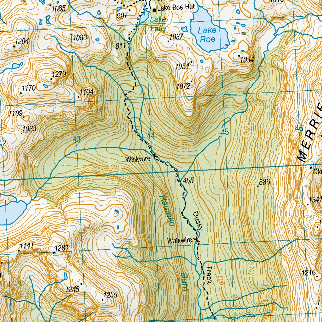 CE06 - Lake Roe Map by Land Information New Zealand | Avenza Maps