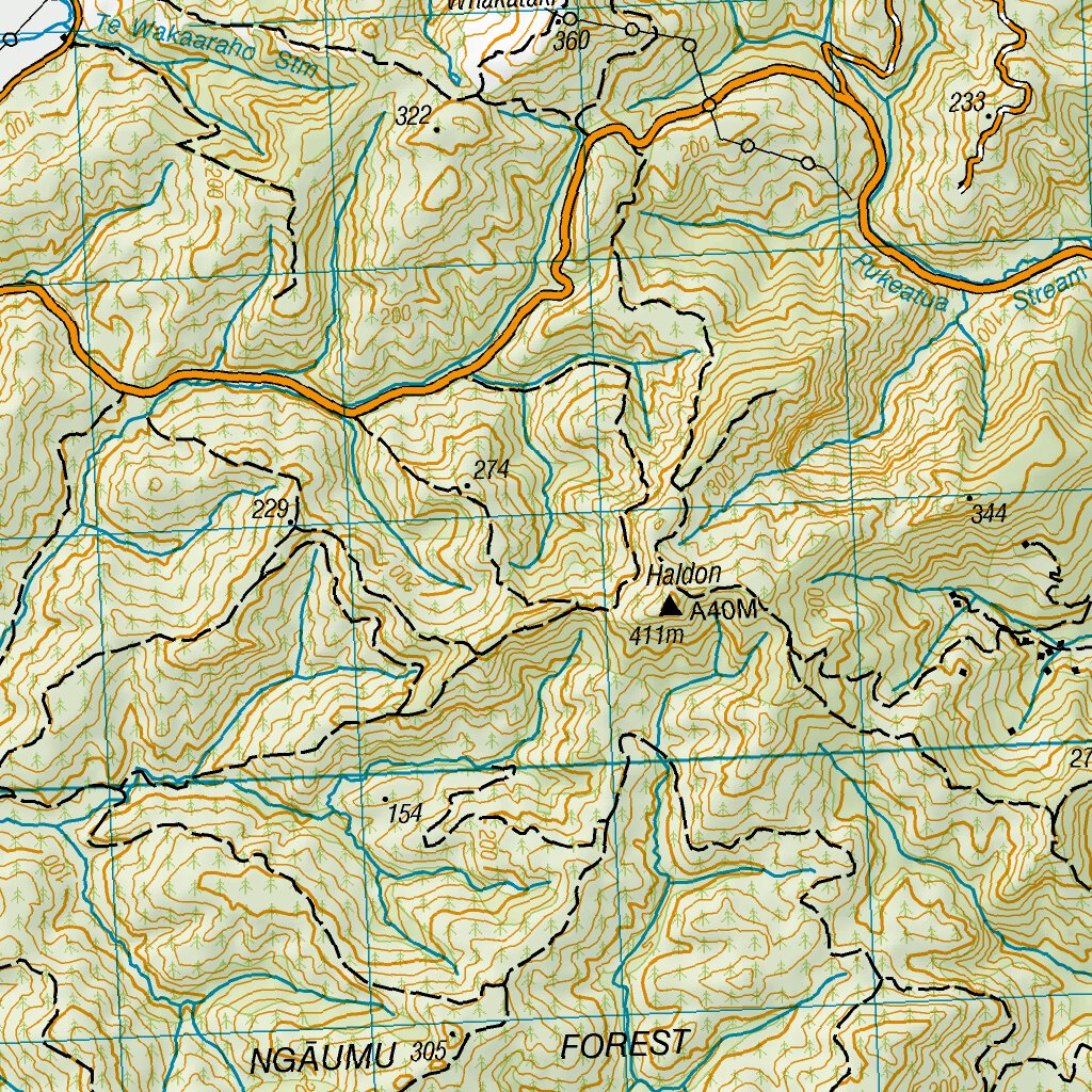BP36 - Castlepoint Map by Land Information New Zealand | Avenza Maps
