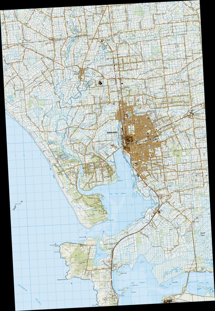 CG10 - Invercargill Map by Land Information New Zealand | Avenza Maps