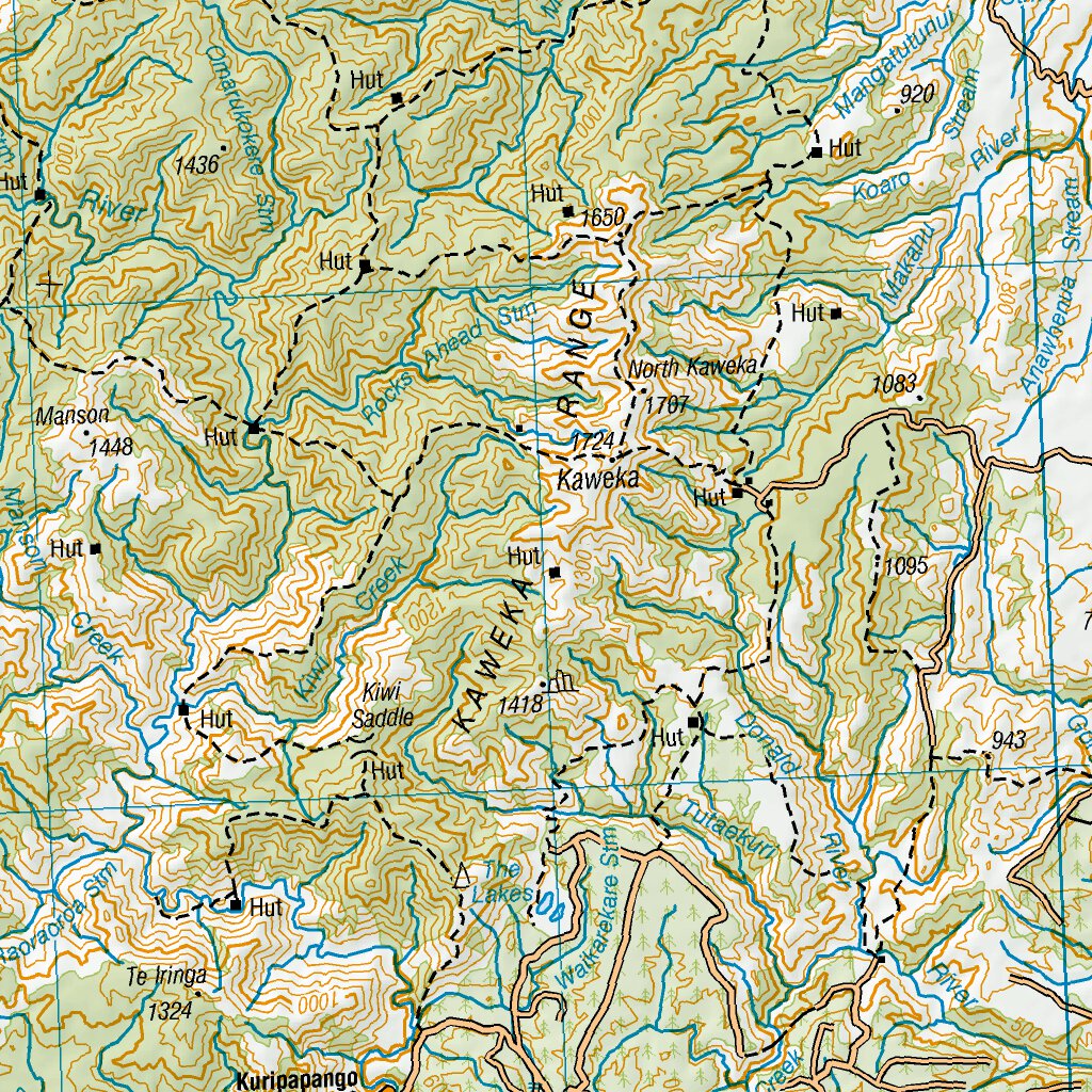 250-10 - Napier Map by Land Information New Zealand | Avenza Maps