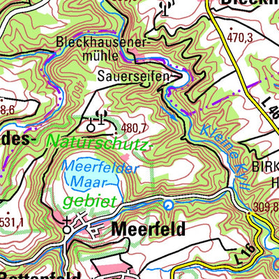 Daun (1:100,000) Map by Landesamt fur Vermessung und ...