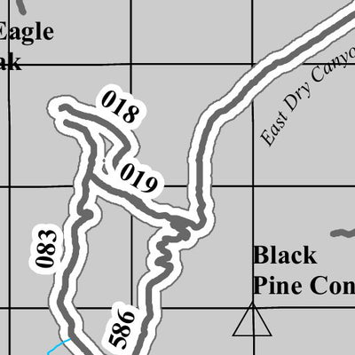 Sawtooth National Forest Minidoka Ranger District-Black Pine Division ...