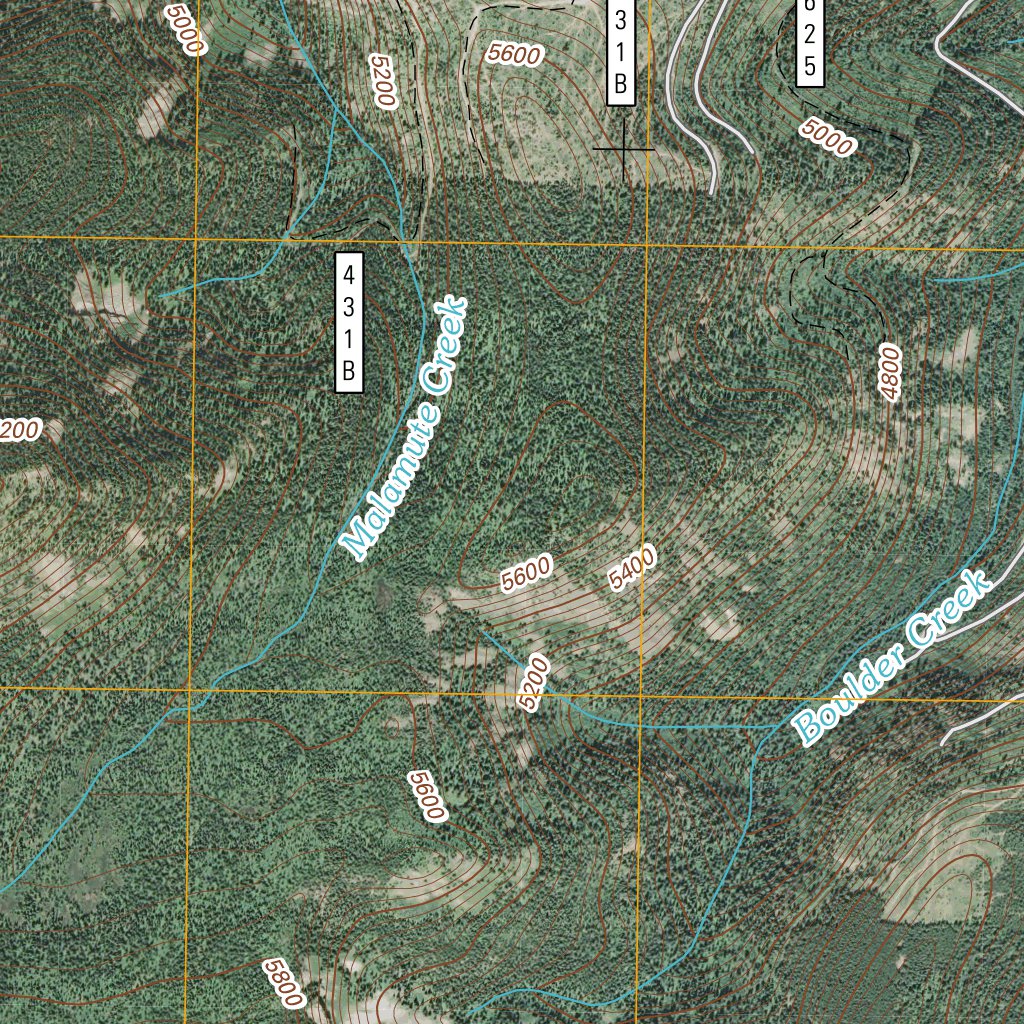 Hoyt Mountain, ID (2011, 24000-Scale) Map by United States Geological ...