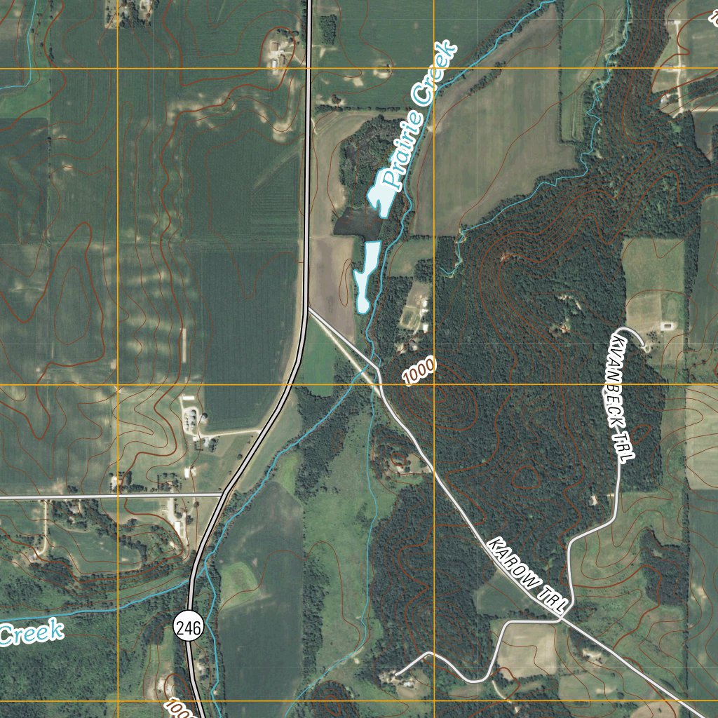 Dennison, MN (2010, 24000-Scale) Map by United States Geological Survey ...