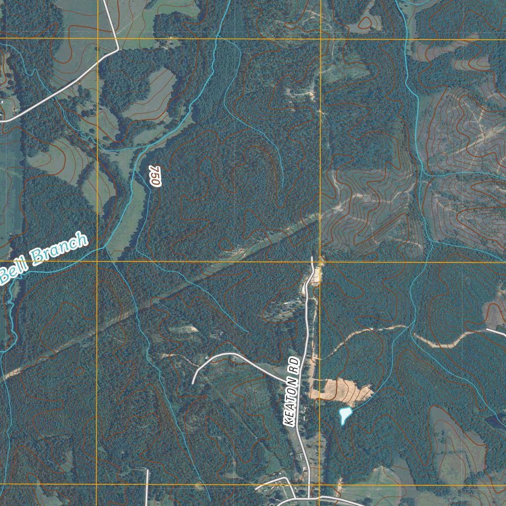Cool Springs, NC (2010, 24000-Scale) Map by United States Geological ...