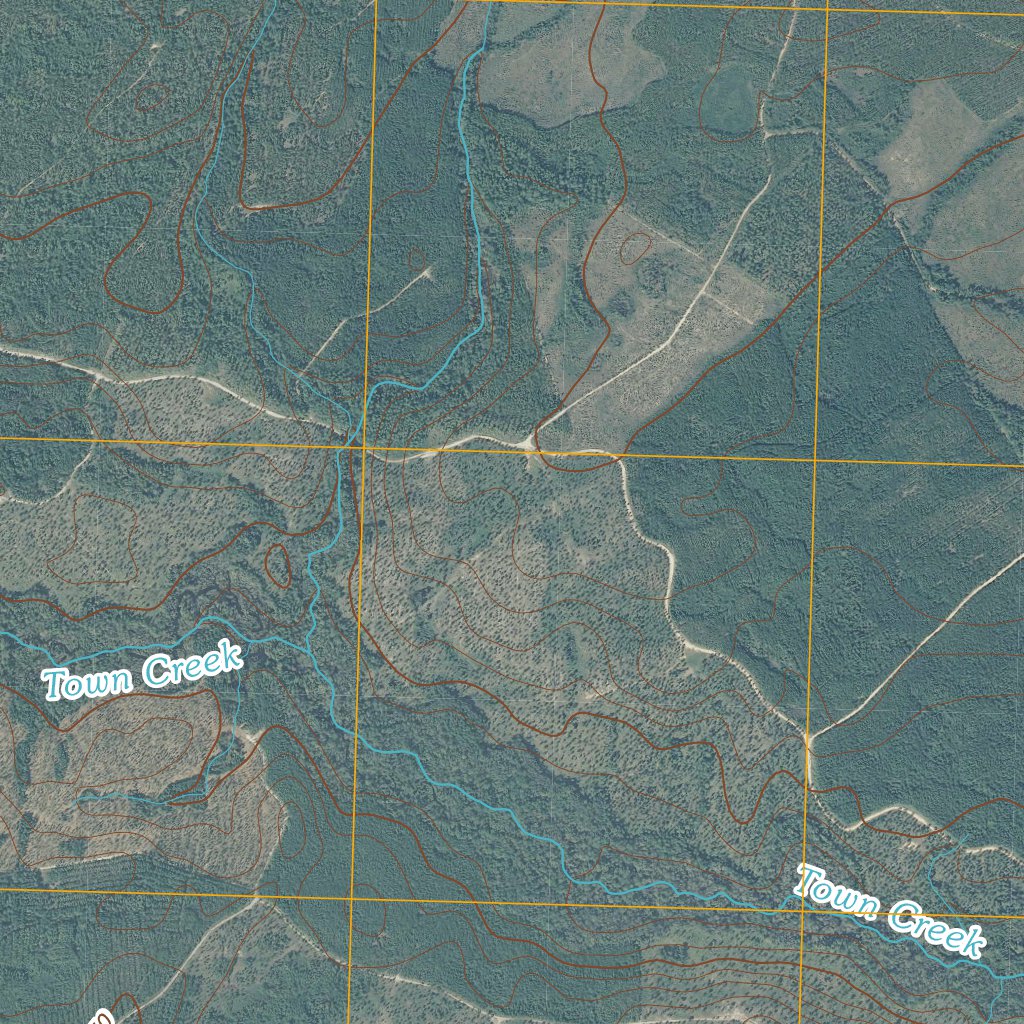 Lewis Swamp, NC (2010, 24000-Scale) Map by United States Geological ...