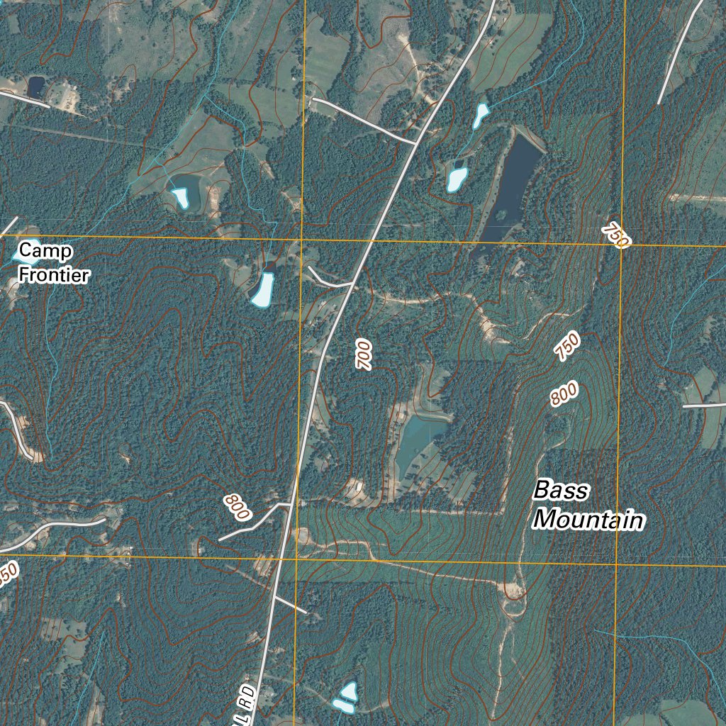 Snow Camp, NC (2010, 24000-Scale) Map by United States Geological ...