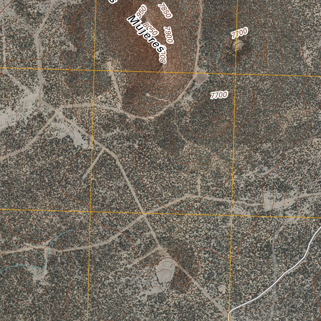 Cerro Pomo, NM (2010, 24000-Scale) Map by United States Geological ...