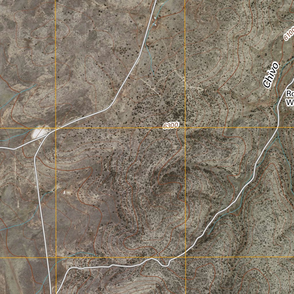 Deadman Lake, NM (2010, 24000-Scale) Map by United States Geological ...