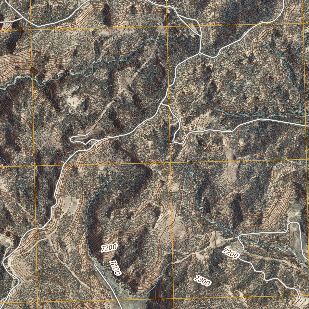 Lapis Point, NM (2010, 24000-Scale) Map by United States Geological ...
