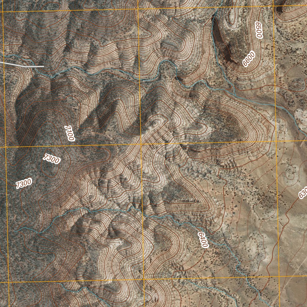 Mesa Gallina, NM (2010, 24000-Scale) Map by United States Geological ...