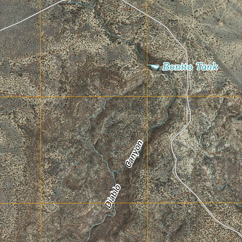 Milagro Spring, NM (2010, 24000-Scale) Map by United States Geological ...