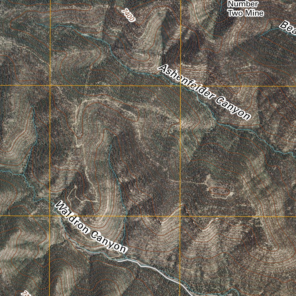 Saltpeter Mountain, NM (2010, 24000-Scale) Map by United States ...