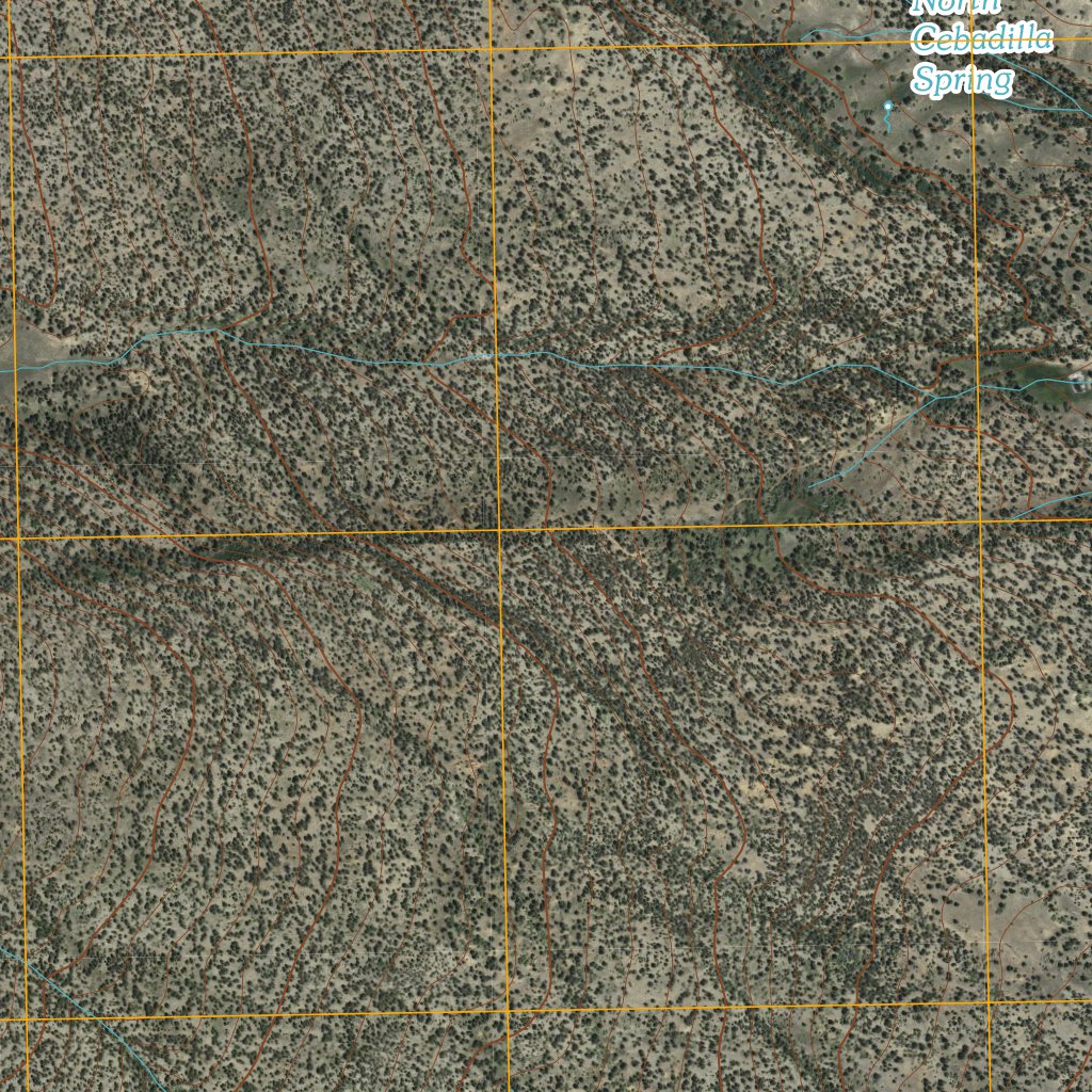 Sawmill Mesa, NM (2010, 24000-Scale) Map by United States Geological ...