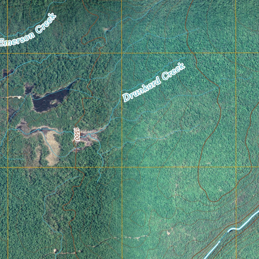 Copper Lake, NY (2010, 24000-Scale) Map by United States Geological ...