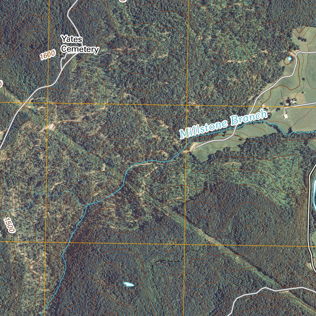 Bald Knob, TN (2010, 24000-Scale) Map by United States Geological ...