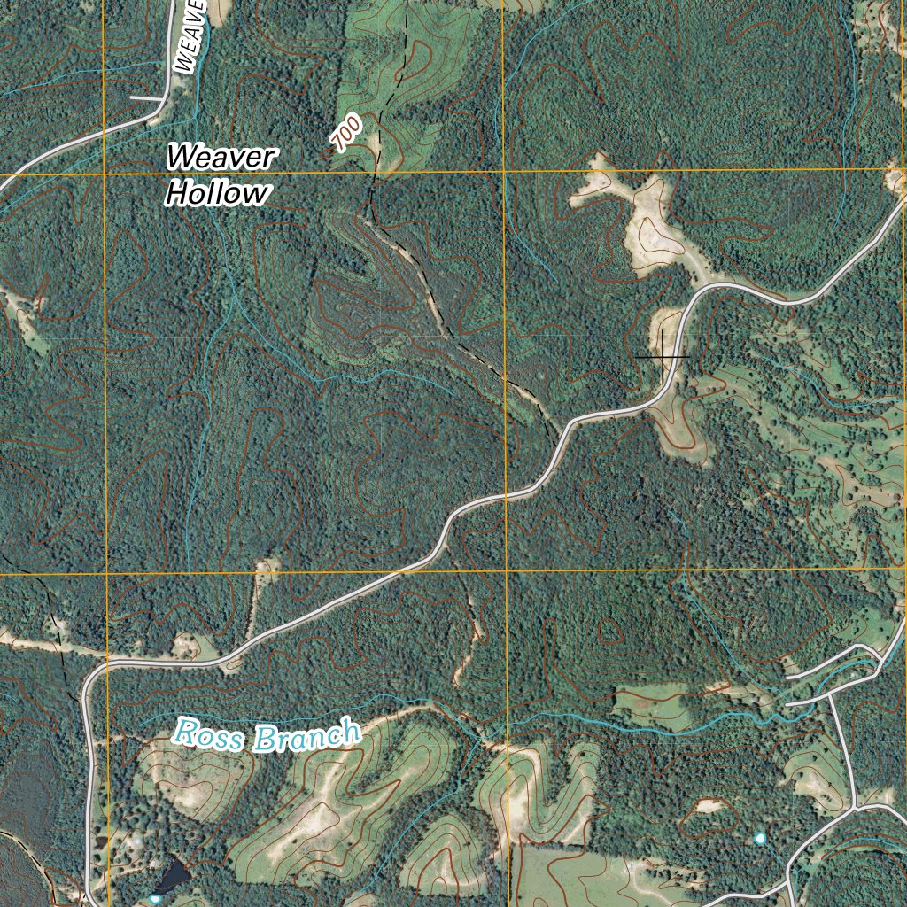 Erin, TN (2010, 24000-Scale) Map by United States Geological Survey ...