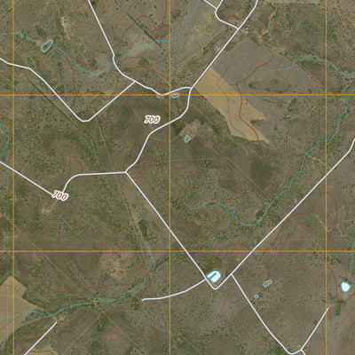 Pearsall South, TX (2010, 24000-Scale) Map by United States Geological ...