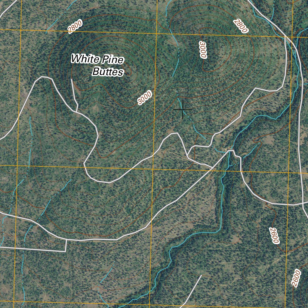 White Pine Buttes, WA (2011, 24000-Scale) Map by United States ...