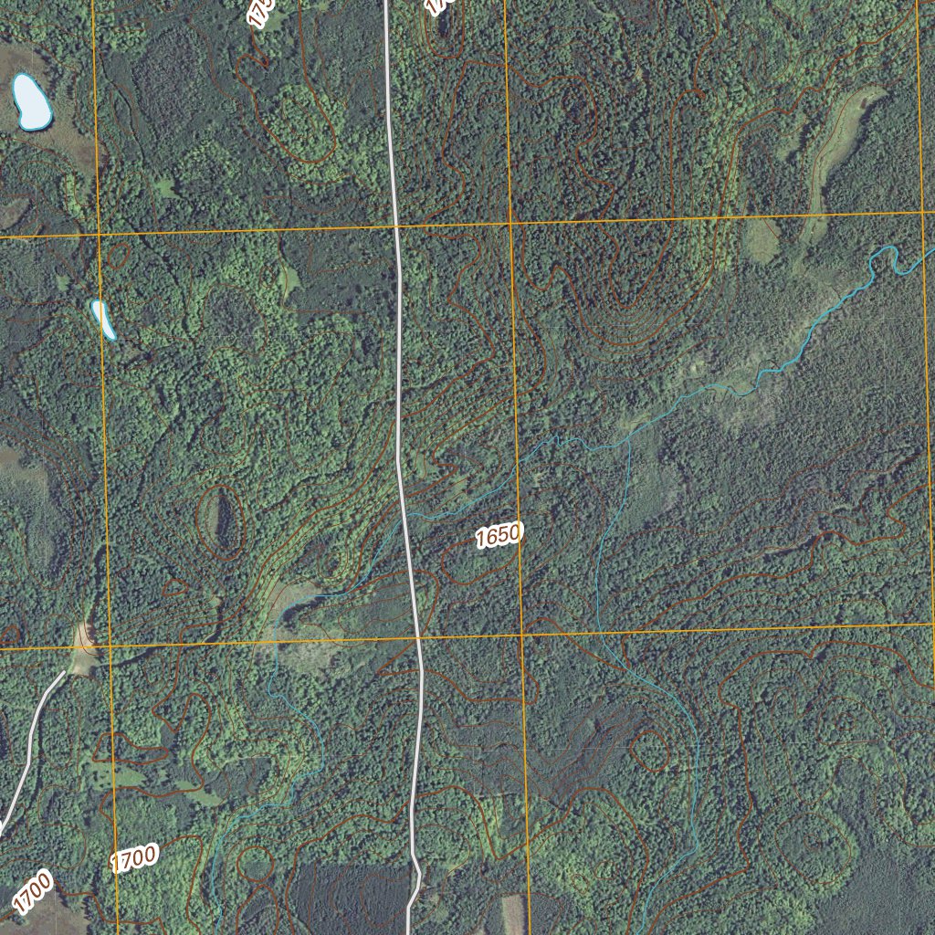 Elcho, WI (2010, 24000-Scale) Map by United States Geological Survey ...