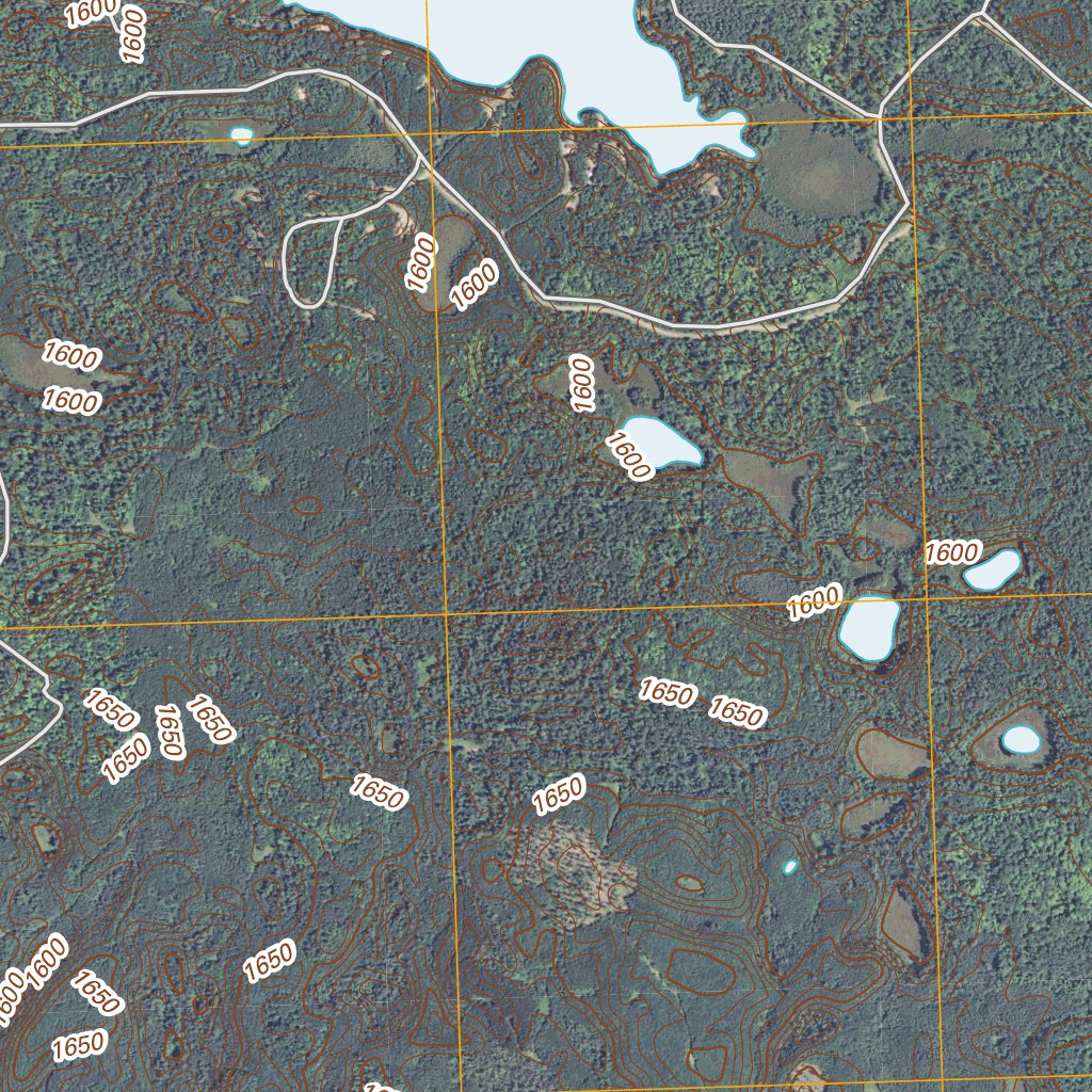 Lake Tomahawk, WI (2010, 24000-Scale) Map by United States Geological ...