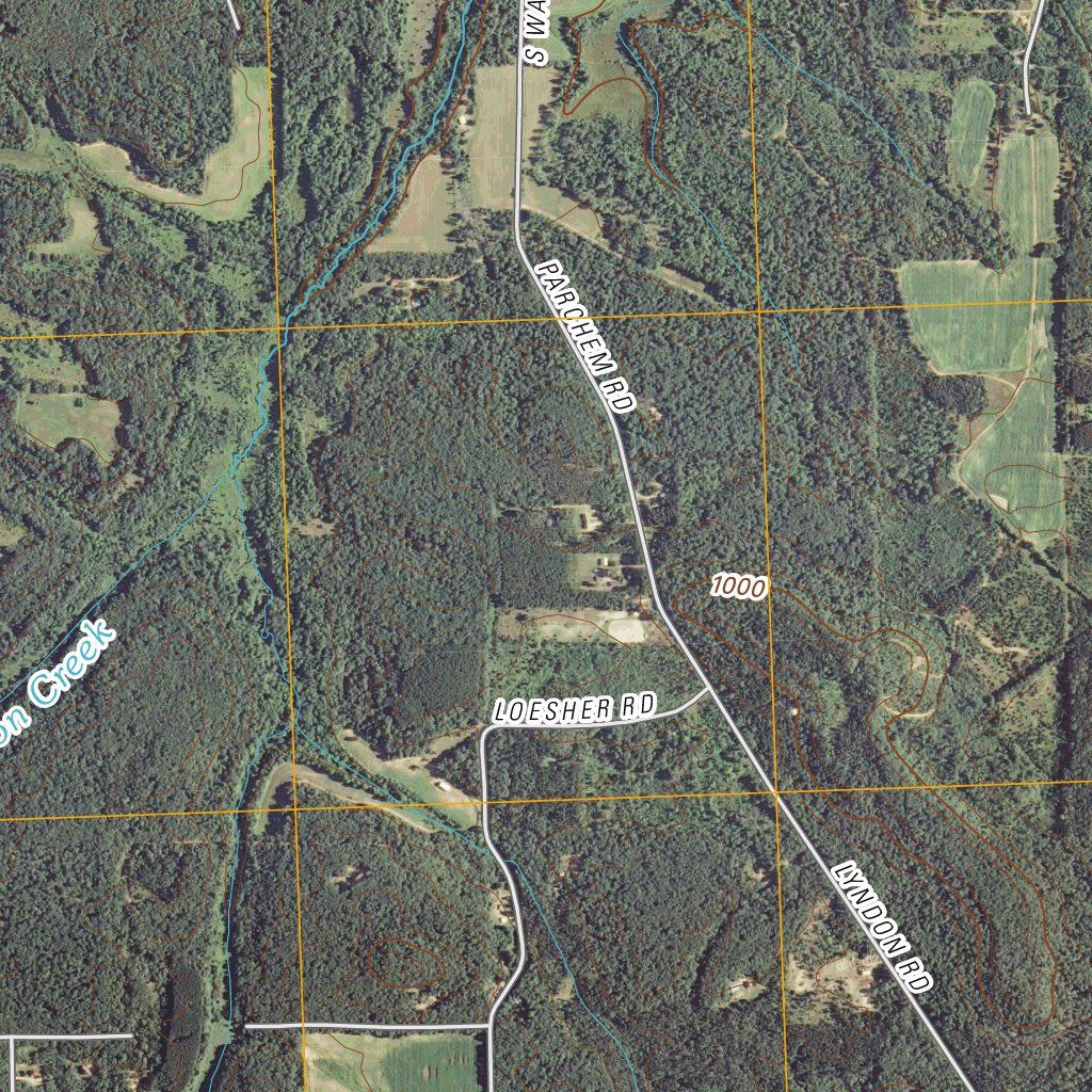 Lyndon Station, WI (2010, 24000-Scale) Map by United States Geological ...