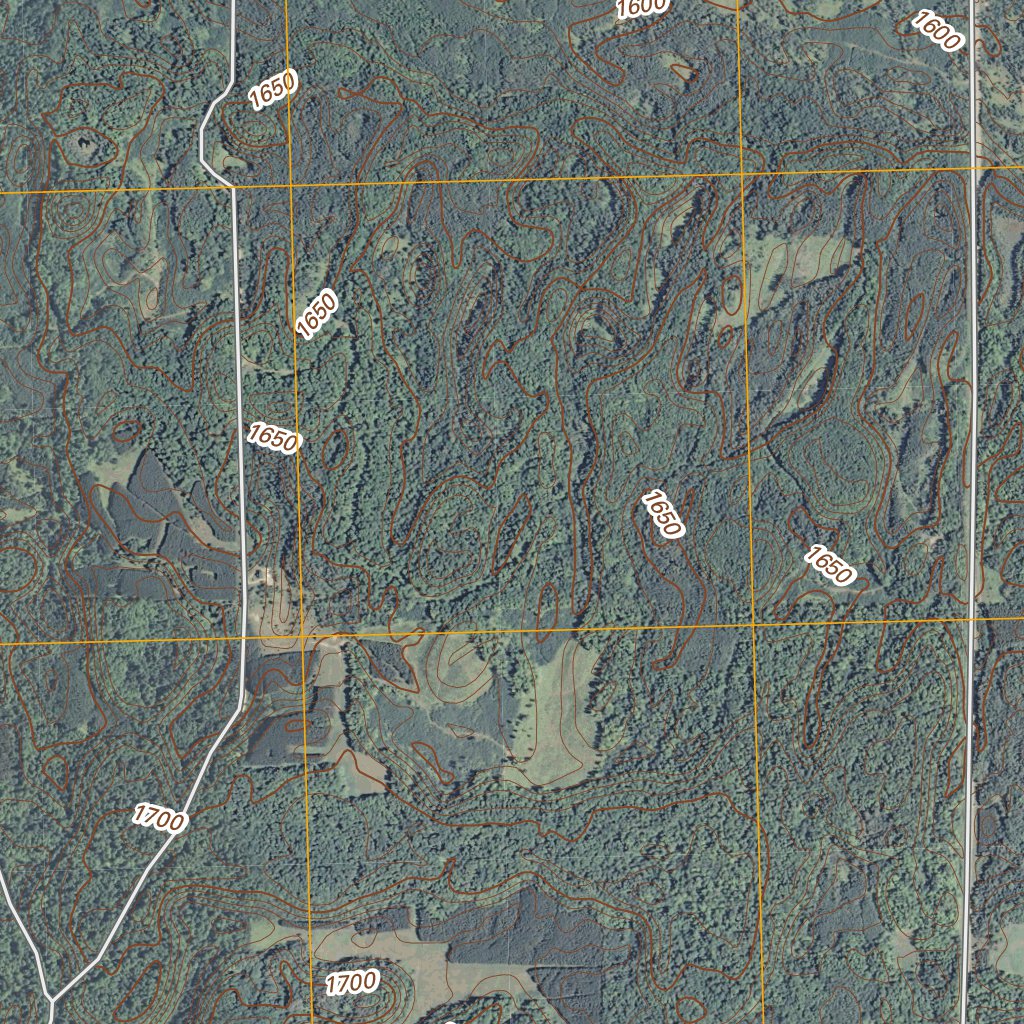 Pearson, WI (2010, 24000-Scale) Map by United States Geological Survey ...