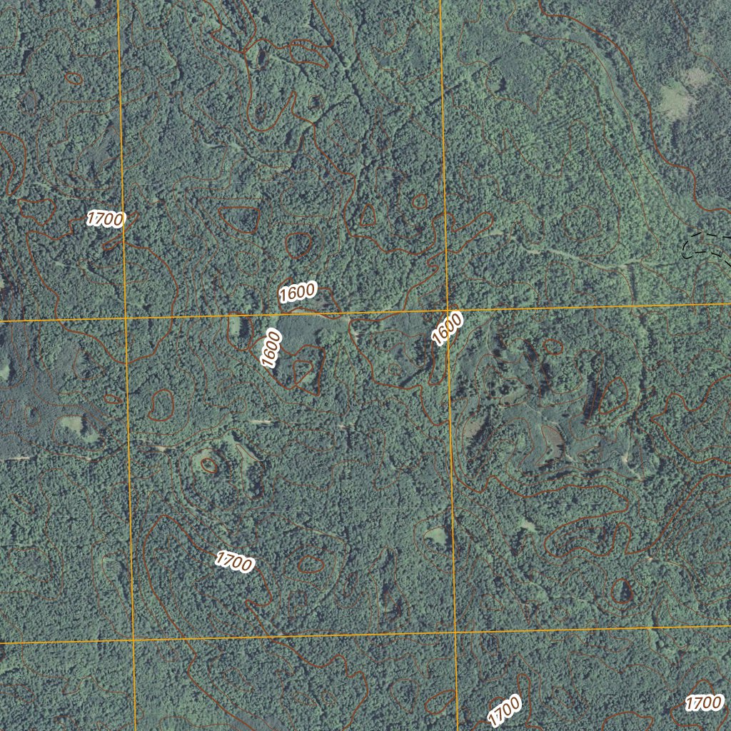 Pickerel, WI (2010, 24000-Scale) Map by United States Geological Survey ...