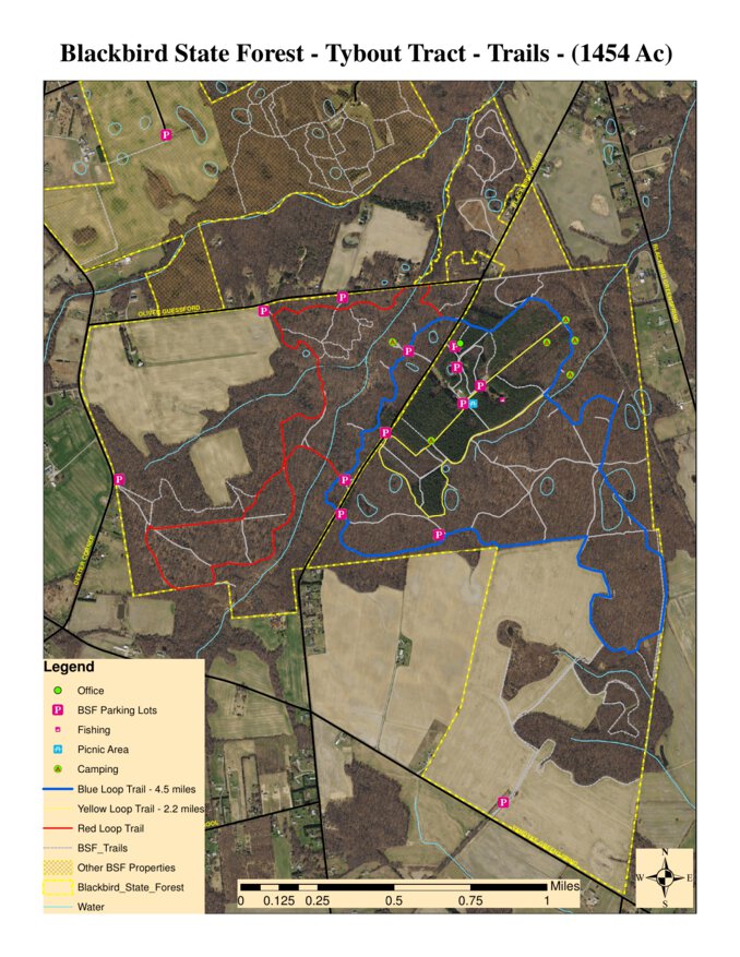 Delaware Forest Serv, Blackbird State Forest, Tybout Tract Trails ...