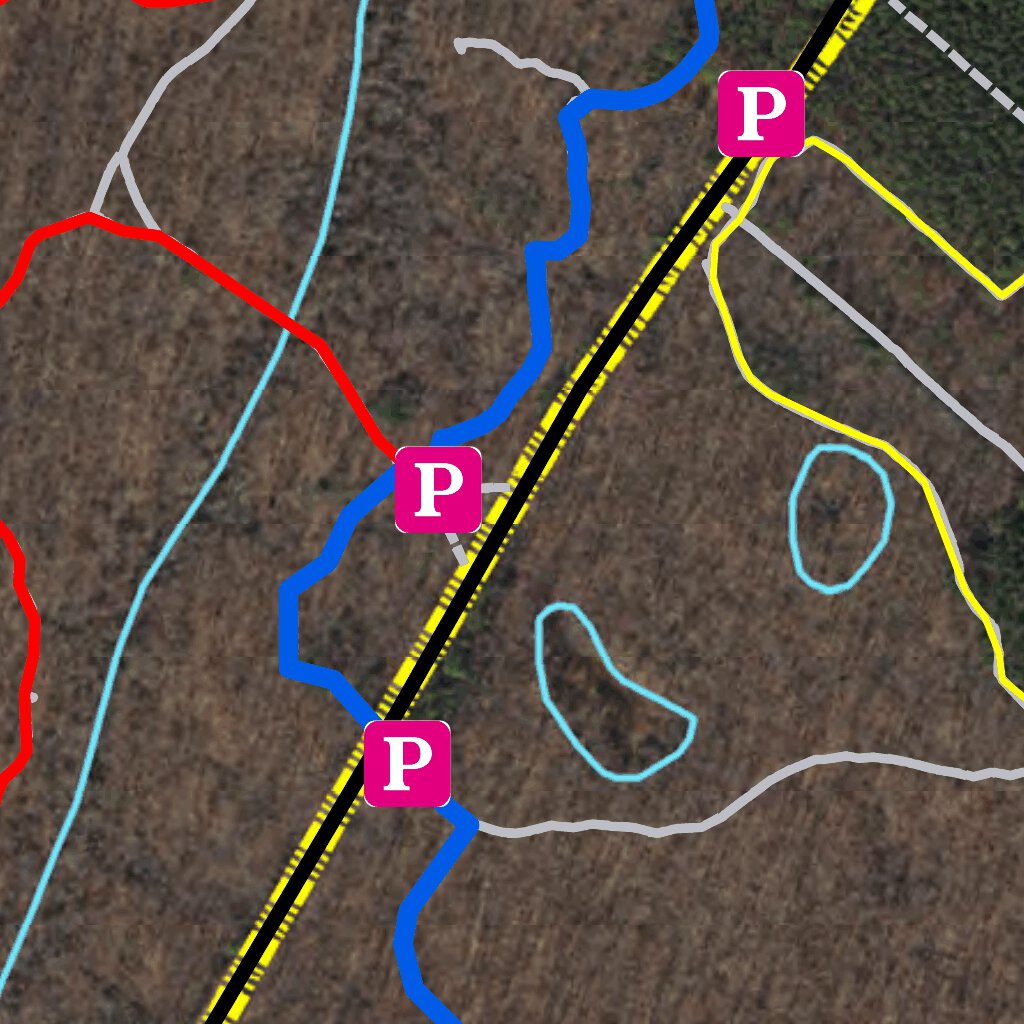 Delaware Forest Serv, Blackbird State Forest, Tybout Tract Trails ...