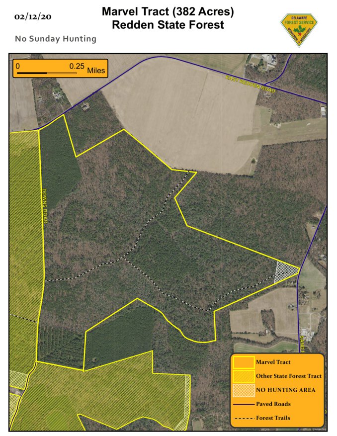 Delaware Forest Serv, Redden State Forest, Marvel tract Map by Delaware ...