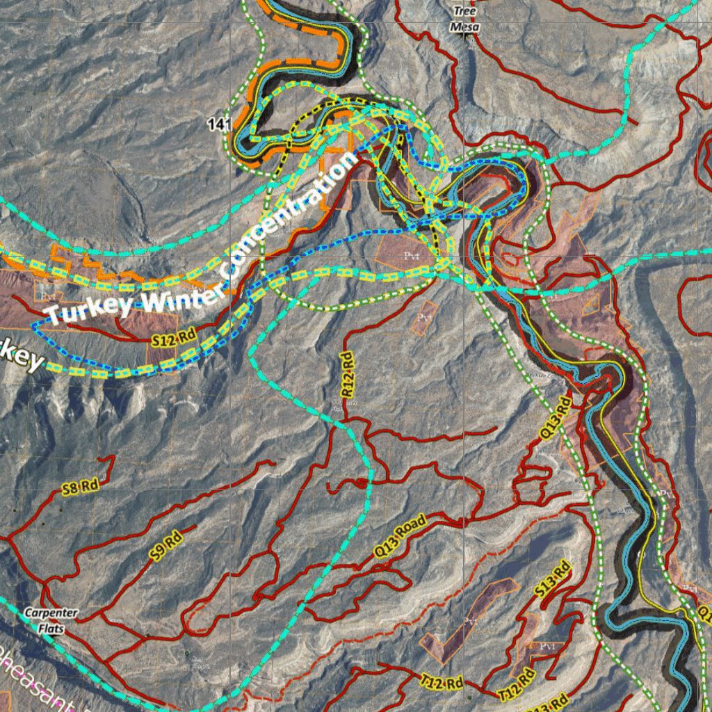 Colorado Unit 61 Turkey, Goose, and Pheasant Concentration Map by ...