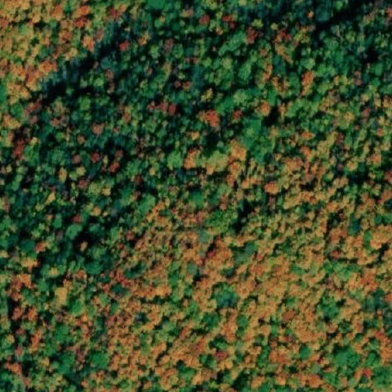 Lac Canitchez (Saint-Alexis-des-Monts) Map by OBVRLY | Avenza Maps