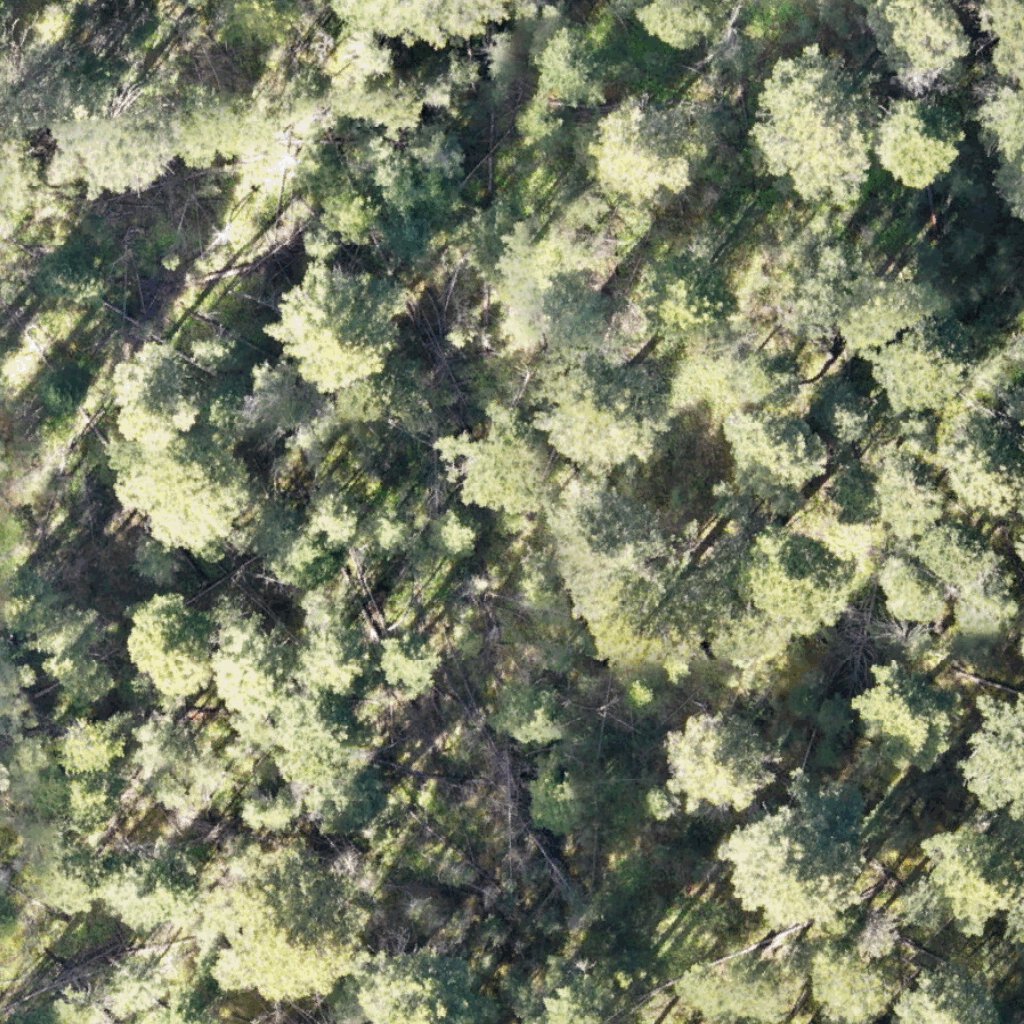 WLRFC Disc Golf Layout Map by QuickTerrain | Avenza Maps