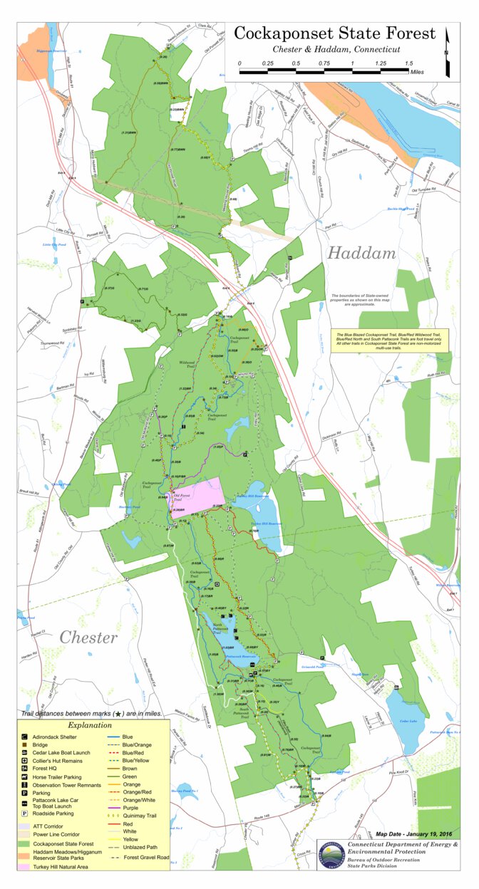 Cockaponset State Forest - Chester and Haddam Map by State of ...