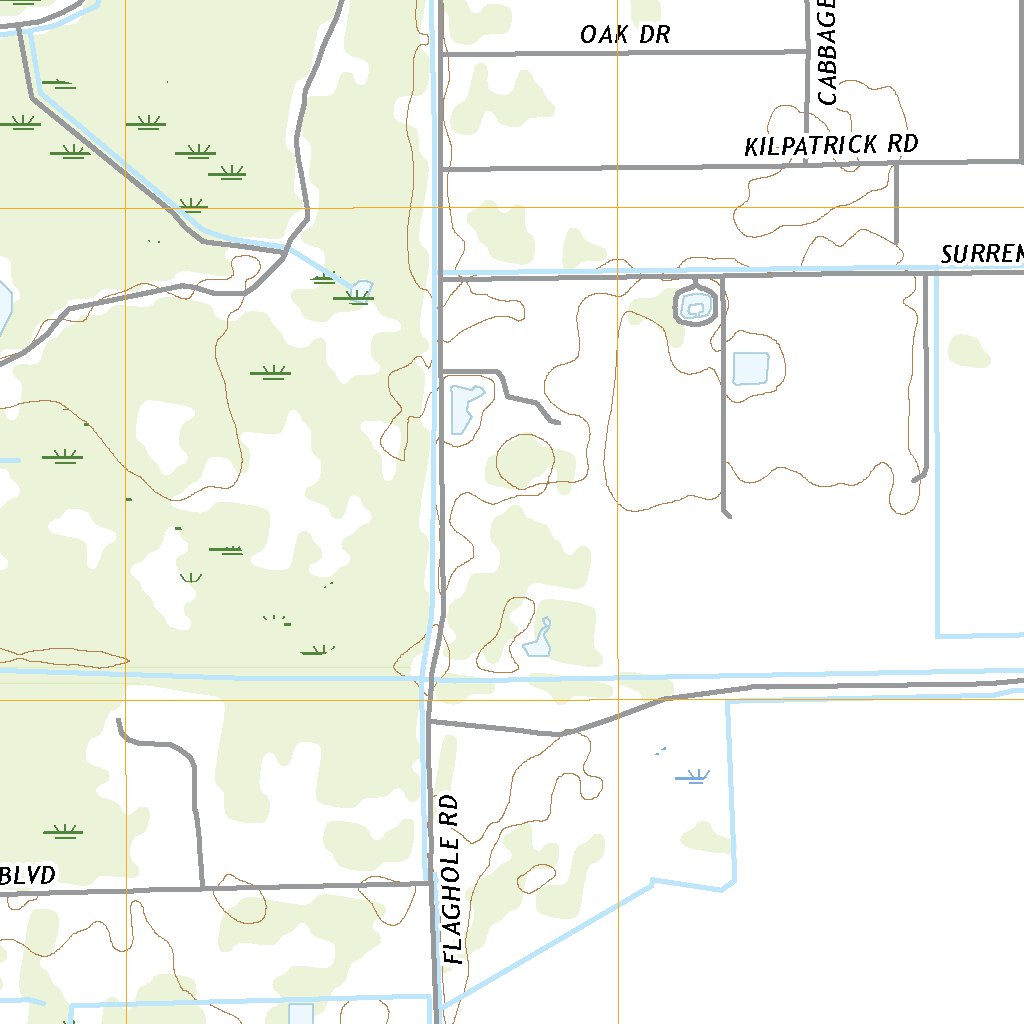 Hog Cypress, FL (2021, 24000-Scale) Map by United States Geological ...