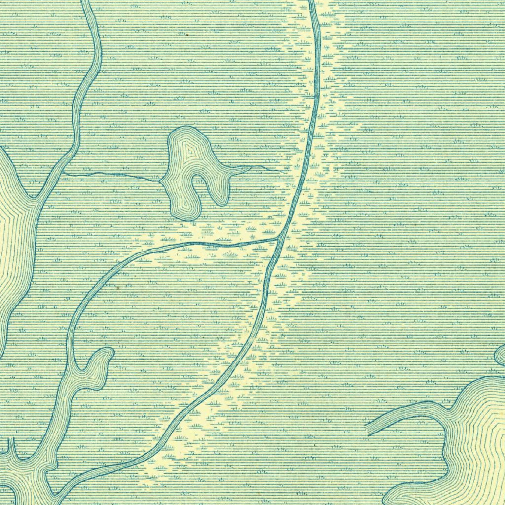 Lake Felicity, LA (1894, 62500-Scale) Map by United States Geological ...