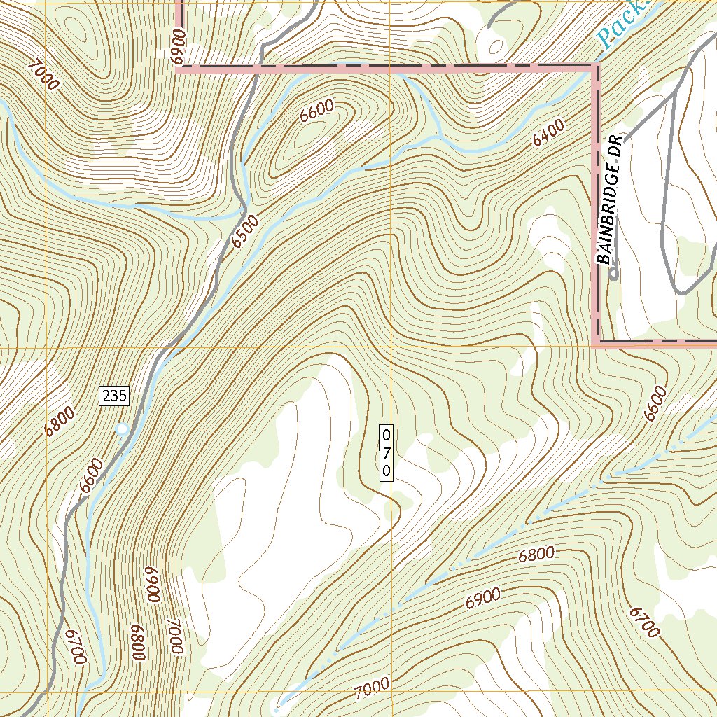 Packsaddle Lake, ID (2020, 24000-Scale) Map by United States Geological ...